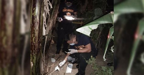 Drug Peddler Killed 8 Others Nabbed In Bulacan Philippine News Agency
