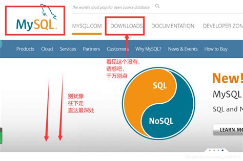 安装mysql sqlyog编译器 sqlyog更改编译器 csdn博客