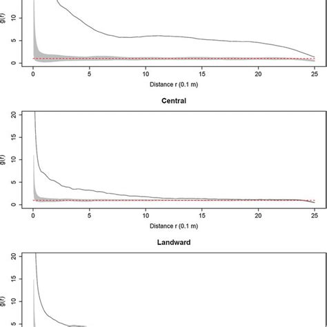 Pair Correlation Functions Describing The Spatial Pattern Of R