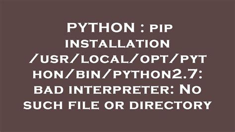 python pip installation usr local opt python bin python2 7 bad