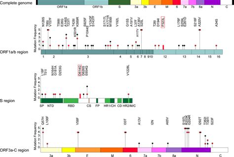 Distribution Of Missense Mutations Along The Sars Cov 2 Genome
