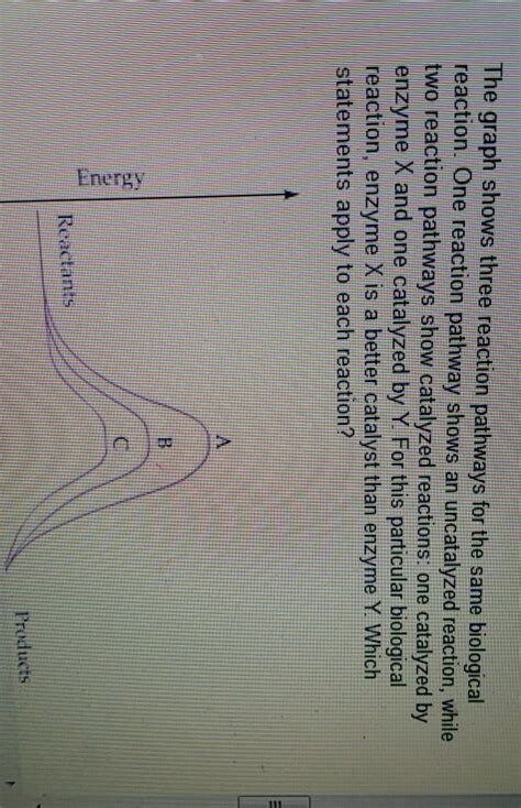 Solved He Graph Shows Three Reaction Pathways For The Same