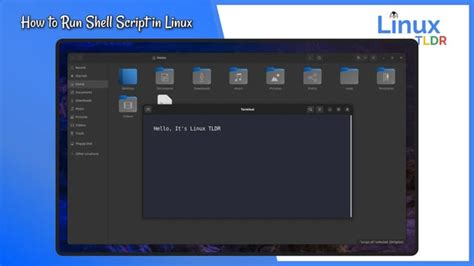 How To Run A Sh Shell Script In Linux [for Beginners] R Linuxtldr