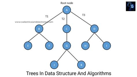trees in data structure and algorithm using c code explanation types