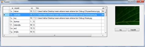 c a dair herşey c kodlarıyla veritabanına resim ekleme