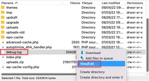 How To Find And Access Wordpress Error Logs