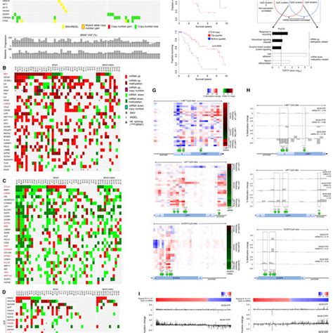 Landscape Of Genomic Transcriptomic And Methylomic Alterations In