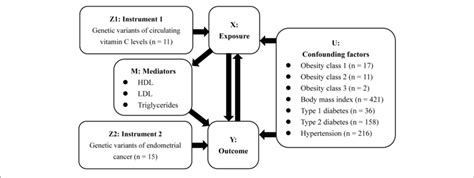 Framework Of Bi Directional Mendelian Randomization Analysis In Our