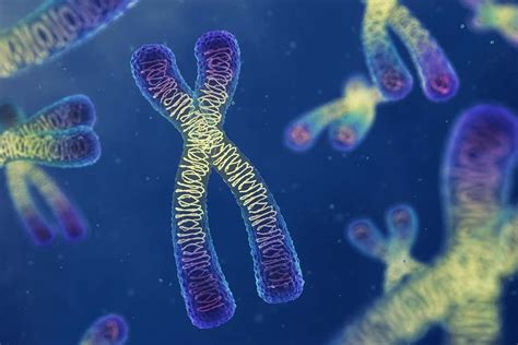 A Species Of Yeast Produces Near Identical Clones When It Has Sex New