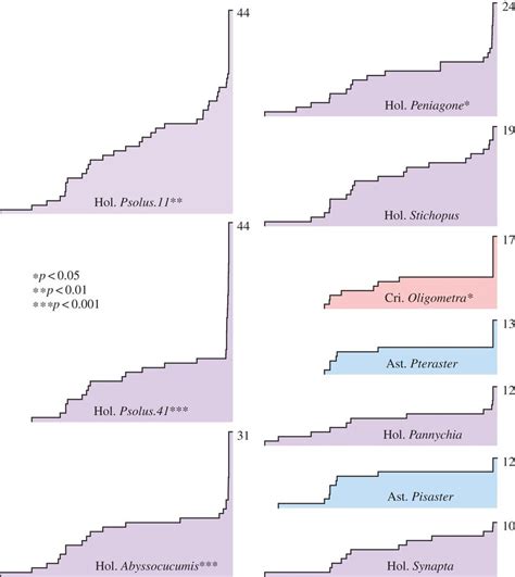 Simplified Lineages Through Time Ltt Plots For Timp Genes In