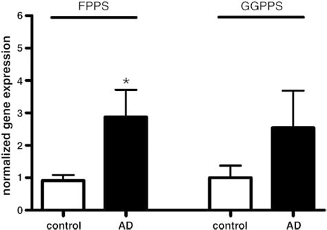 Gene Expression Of The Fpp And Ggpp Synthase In Human Ad And Control