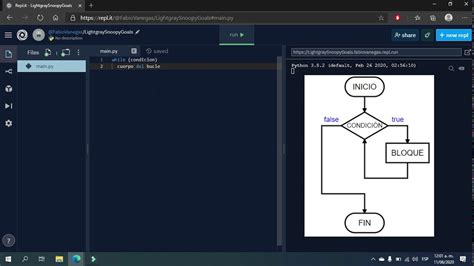 ciclo while python youtube