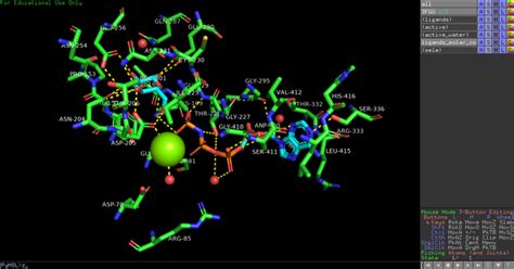 Pymol绘图实例【03】酶活性位点的展示 知乎