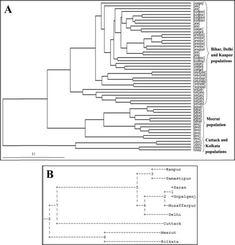 Assessment Of Genetic Diversity Population Structure And Sex