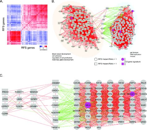 Visual Representation Of Correlations In Gene Expression In Breast