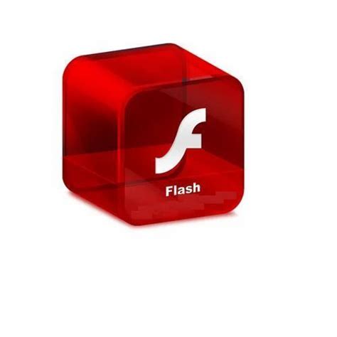 flash web development service flash website development prateek
