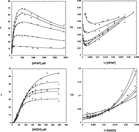 Plots Of Velocity Versus Substrate Concentration The Plots On The Left