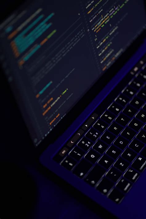 how to use magento with bootstrap react and vue js