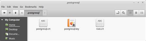 razorsql postgresql ssl certificate naxrespace