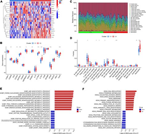 Identification Of Immune Infiltration And Biological Function