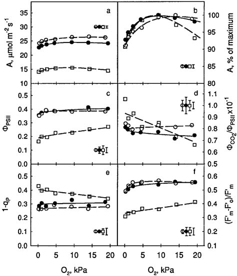 O 2 Effects On The Net Co 2 Assimilation Rates A Net Co 2