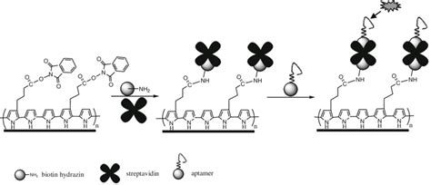 Scheme 1 Schematic Representation And Synthetic Procedure For The