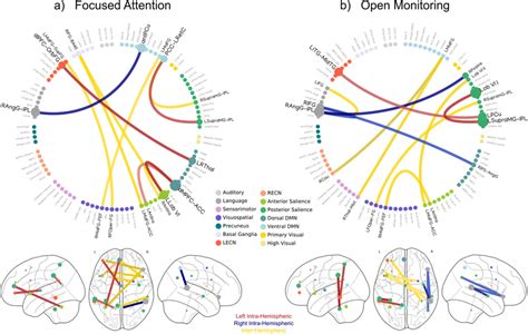 Intra And Inter Hemispheric Relevant Connections Red Lines Represent