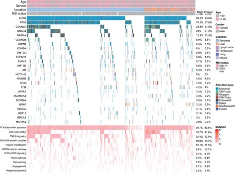 Characterization Of The Genomic Landscape In Large Scale Chinese