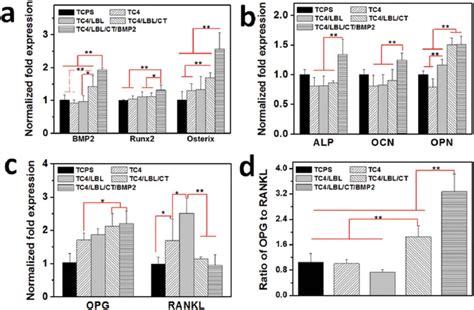 A C The Relative Mscs Mrna Expression Of Bmp2 Runx2 Osterix Alp