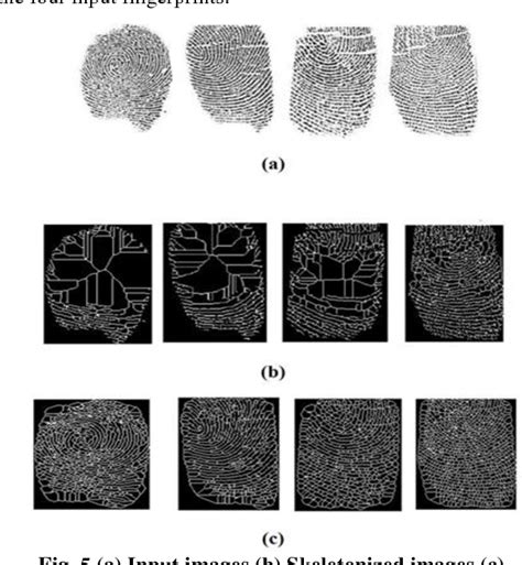 Figure 1 From Gender Classification System Derived From Fingerprint