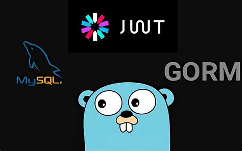 golang mysql gin gorm jwt 哔哩哔哩 bilibili