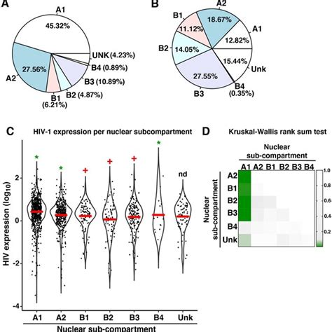 Defining The Expression Of Hiv 1 Proviral Integration Groups Based On