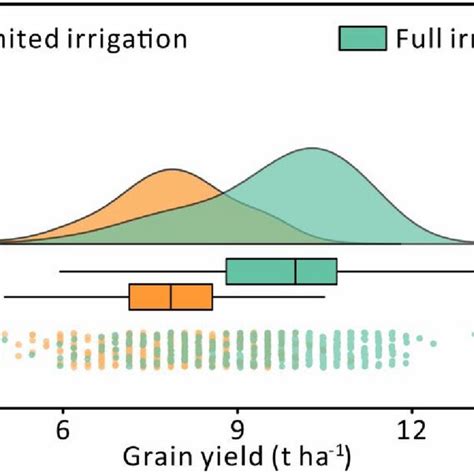 Distribution Of Wheat Yield Under Full And Limited Irrigation