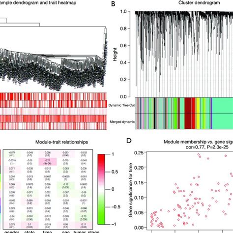Construction Of A Weighted Co Expression Gene Network And Its