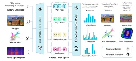 Meta Transformer A Unified Framework For Multimodal Learning