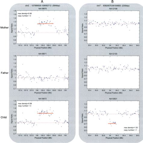 Genome Wide Detection Of Human Copy Number Variations Using High