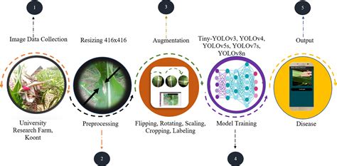 Frontiers A Mobile Based System For Maize Plant Leaf Disease
