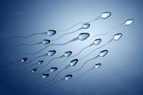 精子バンクについて 精子提供パートナー会員制匿名交流サイト｜ベイビーパートナーズ（ベビパト）