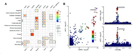 Colocalization Of Genetic Als Association And Eqtl In Different