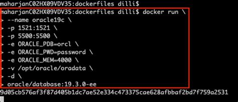 install oracle database 19c in docker container ~ dilli s