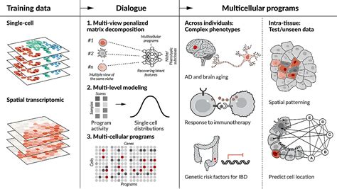 Dialogue Maps Multicellular Programs In Tissue From Single Cell Or