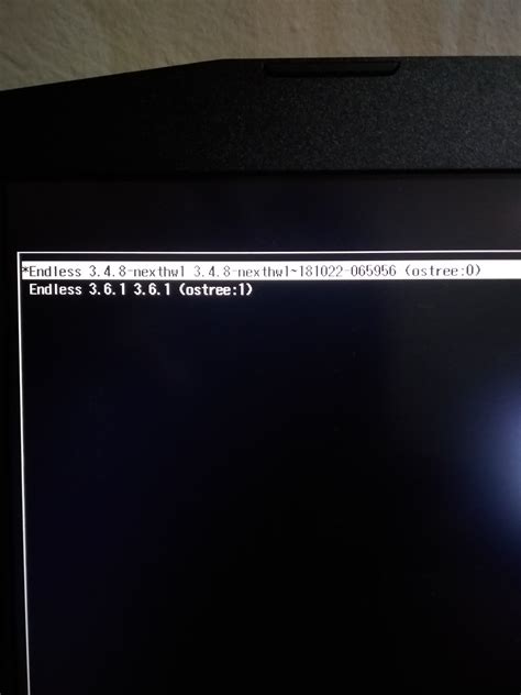 i cannot boot my computer properly help endless community