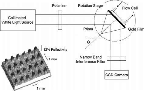 Surface Plasmon Resonance Spr Imaging Experimental Setup Light From