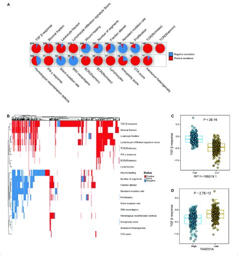 Associations Between Lncrnas And Tumor Immune Signature A Pie