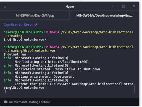 weird error calling my grpc server stream removed · issue 138