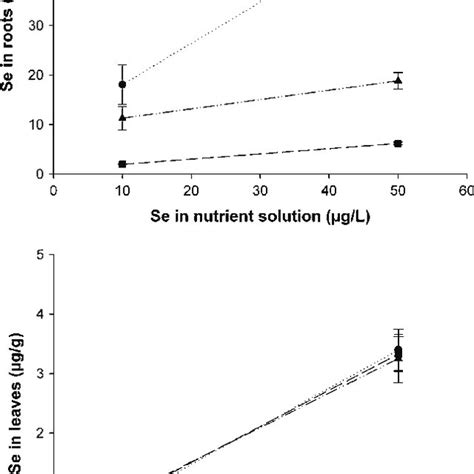 Accumulation Kinetics Of Selenium By Roots Or Leaves Of Zea Mays Plants
