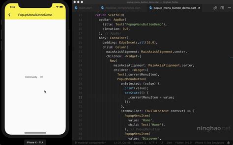 popupmenubutton：弹出式菜单按钮《 flutter 移动应用：按钮 》 宁皓网