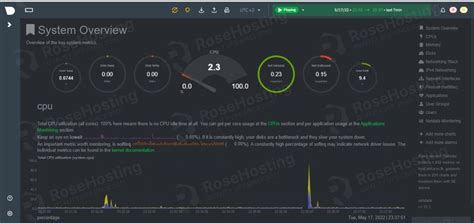 how to install netdata monitoring tool on ubuntu 22 04 rosehosting