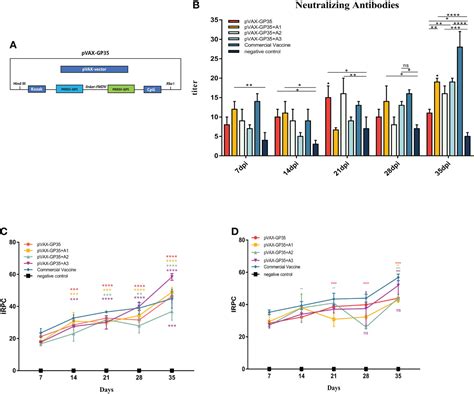 Frontiers Immunological Evaluation Of Recombination Prrsv Gp3 And Gp5
