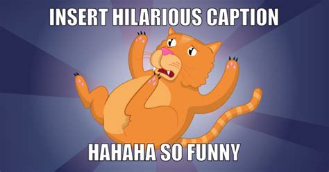 cat meme generator piday raspberrypi raspberry pi adafruit